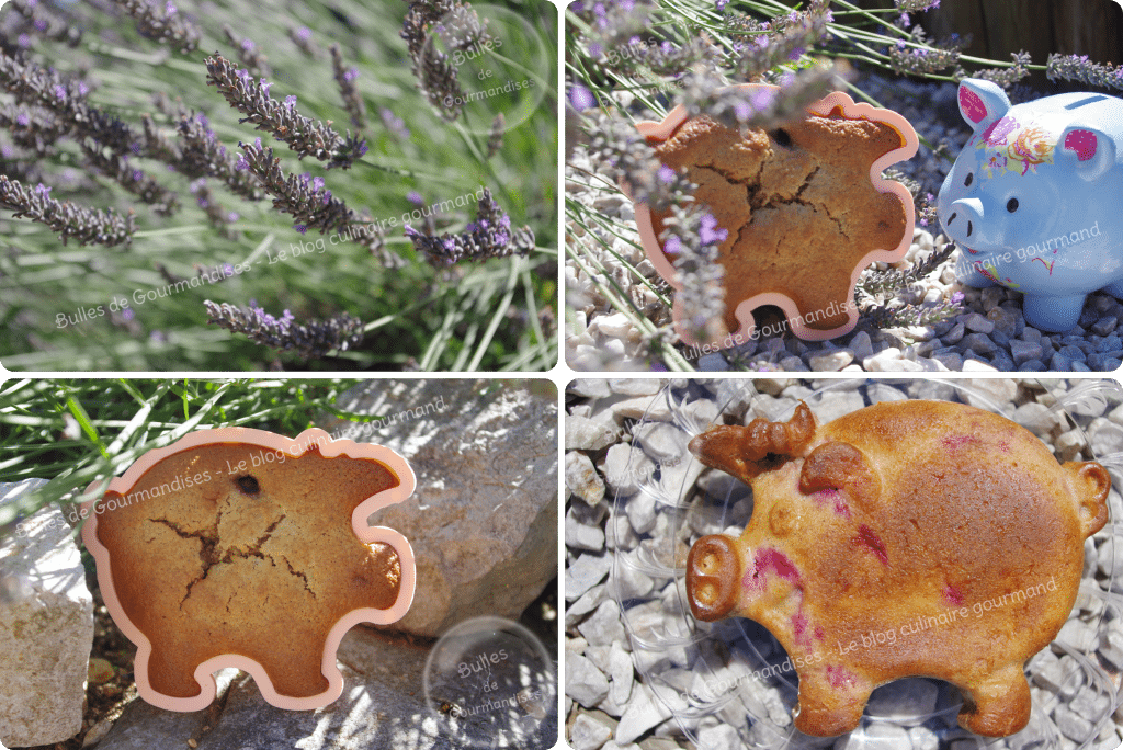 Le gâteau cochon de l'été aux prunes.... la recette que vous n'osiez ...