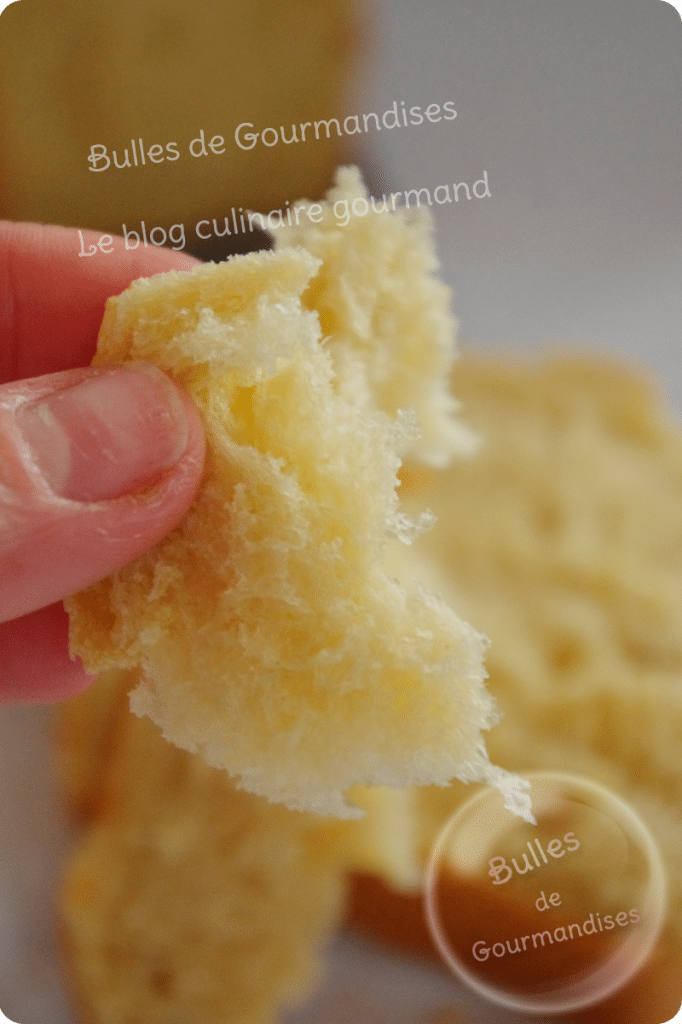 Brioche russe nature et aux pralines roses ! | Bulles de Gourmandises